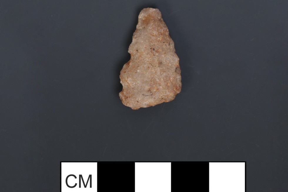 Site 30 Updates 2022 | Thomas Jefferson's Monticello