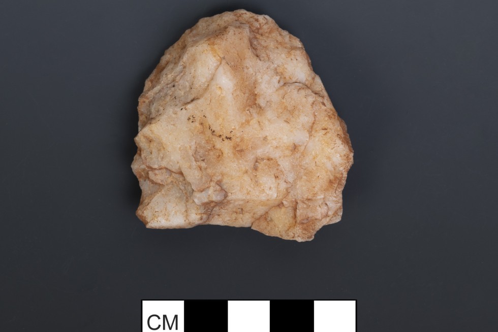 Site 30 Updates 2022 | Thomas Jefferson's Monticello