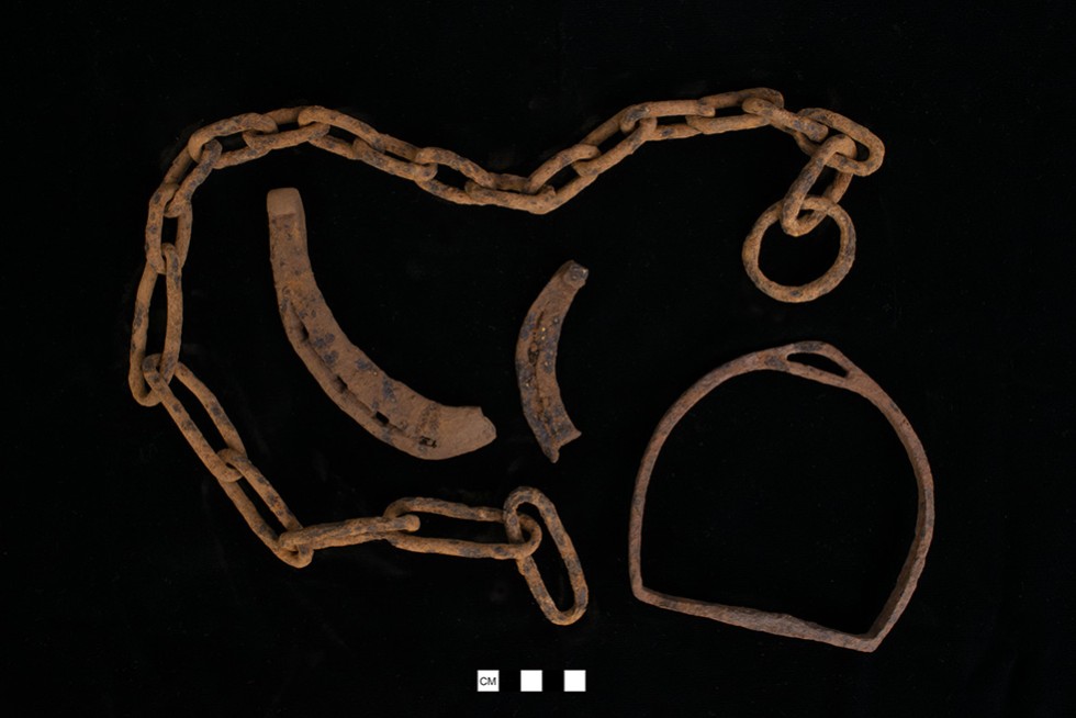 Re-Examining the 1957 Pi-Sunyer and 1958 Markotic Legacy Collections at ...