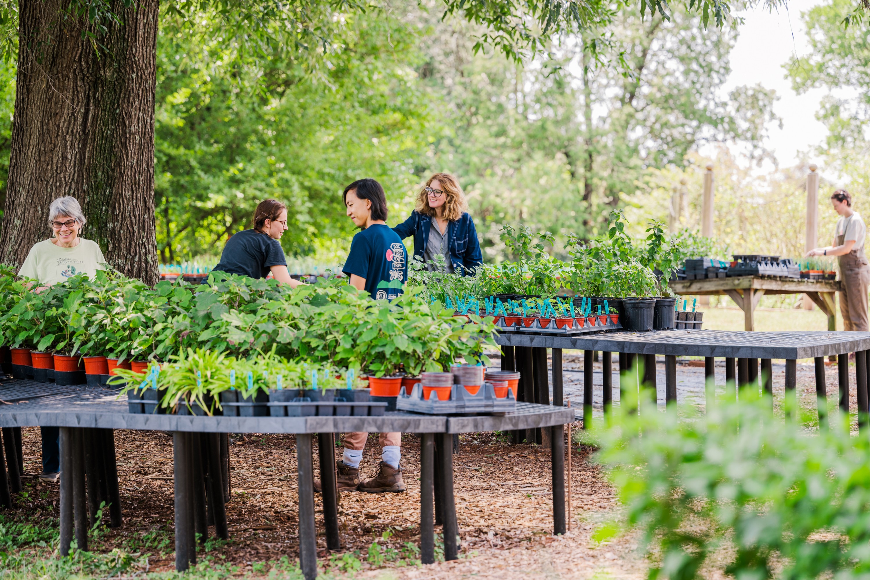 October Fall Plant Sale at CHP | Thomas Jefferson's Monticello