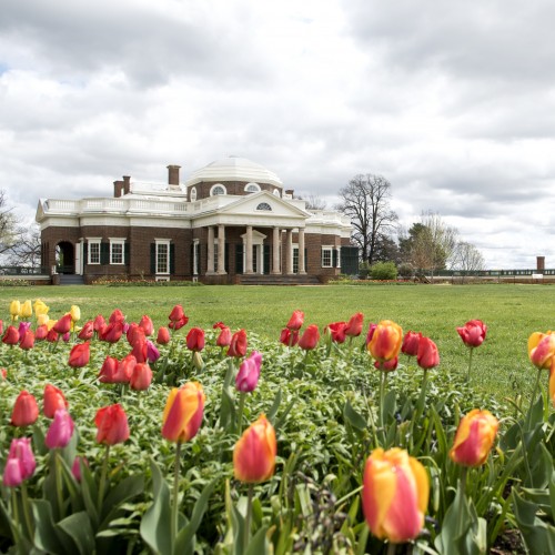 Thomas Jefferson's Monticello