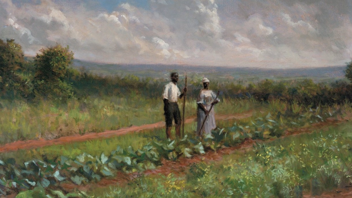 Life In the Plantation Fields of Monticello | Thomas Jefferson's Monticello