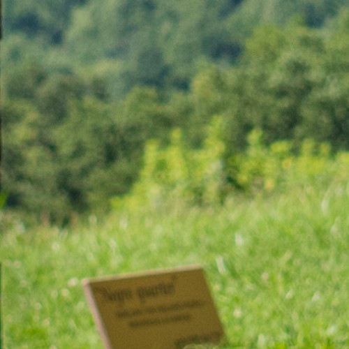 Tickets & Tours | Thomas Jefferson's Monticello