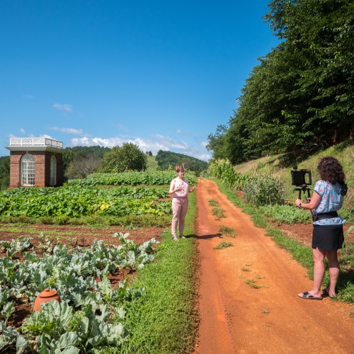 Tickets & Tours | Thomas Jefferson's Monticello